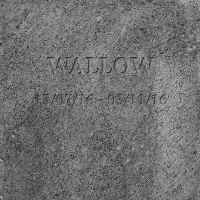 WALLOW | WALLOW