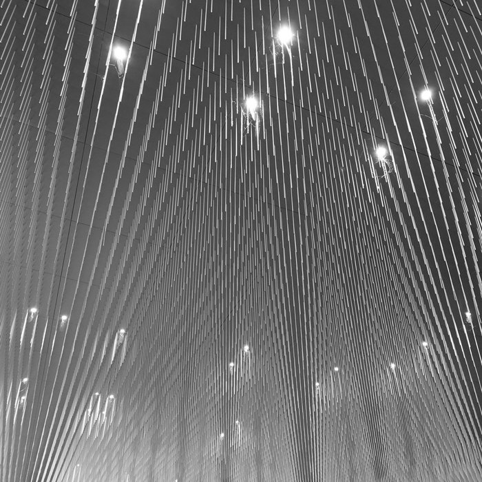 Shifting Cities | Promenade Sauvage