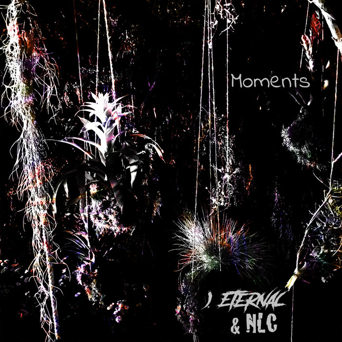 Moments | NLC & I,Eternal | I,Eternal Records