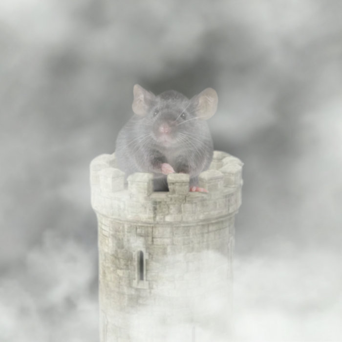Rat on top of the tower | Plague Rats