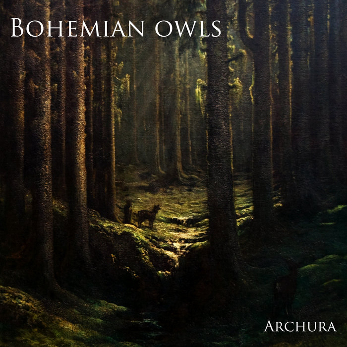 Archura | Bohemian owls