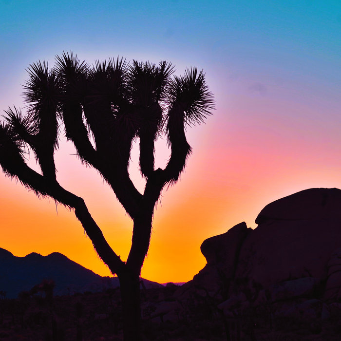 Pure Image | With Flowers