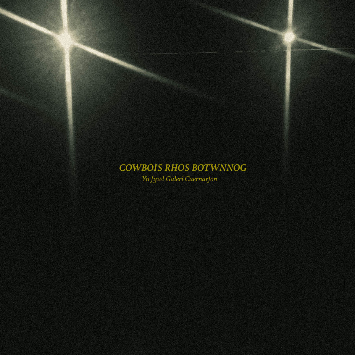 Yn Fyw! Galeri Caernarfon | Cowbois Rhos Botwnnog