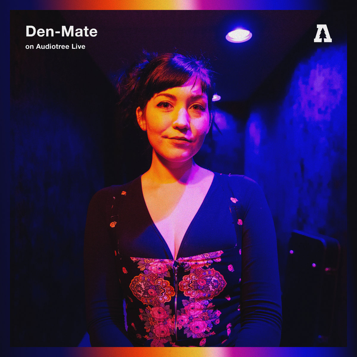 Den-Mate on Audiotree Live | Den-Mate