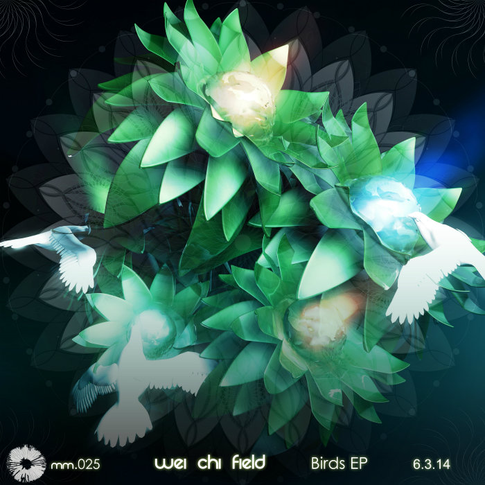 Birds | Wei-Chi Field