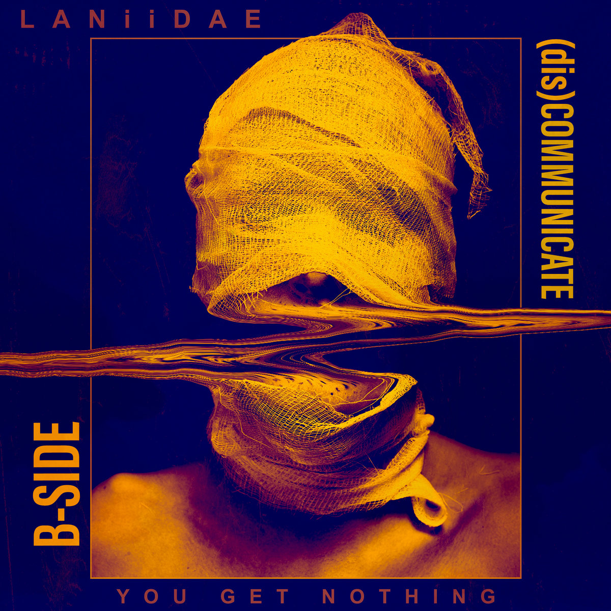 (dis)COMMUNICATE | LANiiDAE