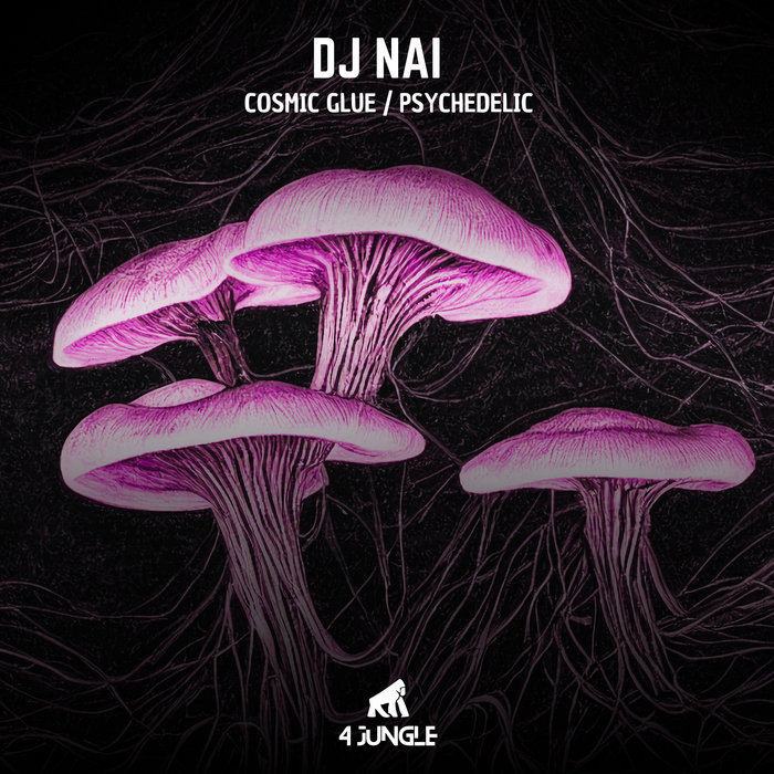 Cosmic Glue EP | DJ Nai | DNBB Records
