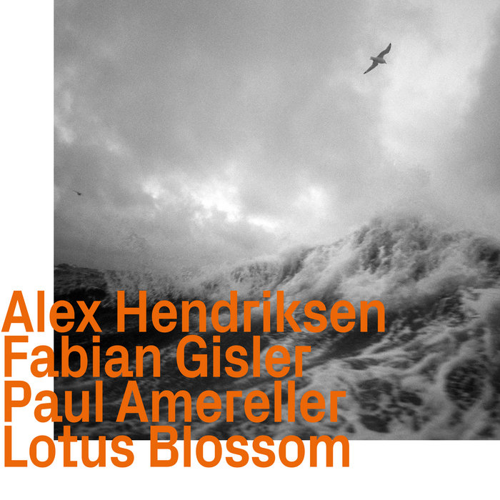 Lotus Blossom | Alex Hendriksen, Fabian Gisler, Paul Amereller | Hat ...