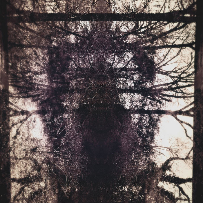 Born Lost | Cesspool Dreams