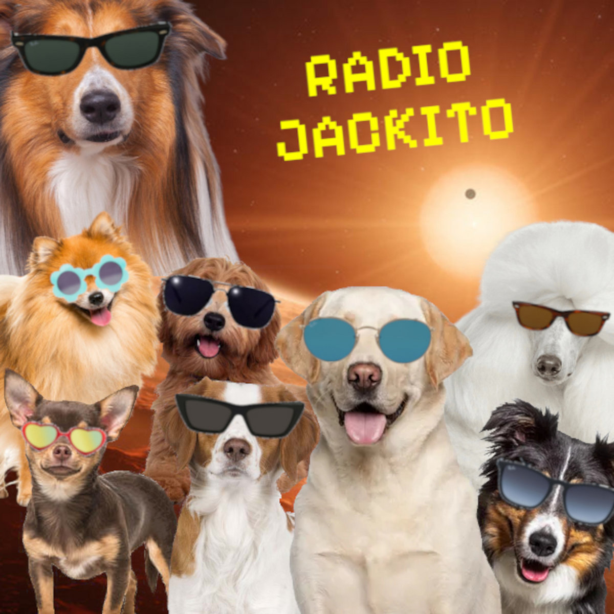 Radio Jackito | Radio Jackito