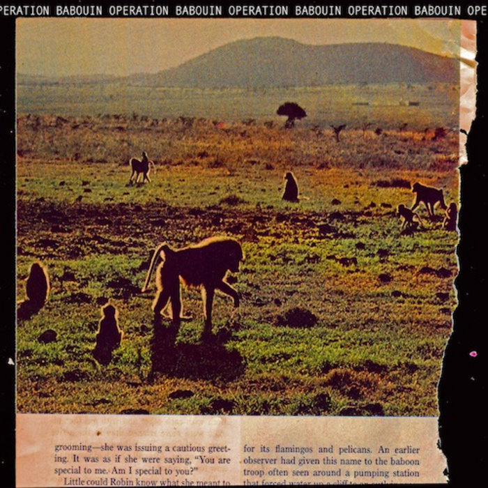 Rise Of The Babouin - live@BaboonFest#1 | Opération Babouin | Baboon ...