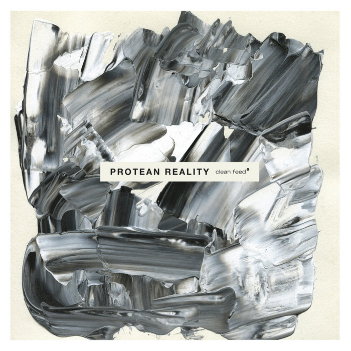 Protean Reality | Protean Reality (Pitsiokos/Punkt/Scholz) | Clean Feed
