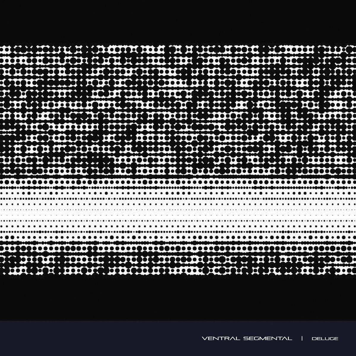 ventral segmental - deluge | polygon network [NW0014] | ventral ...