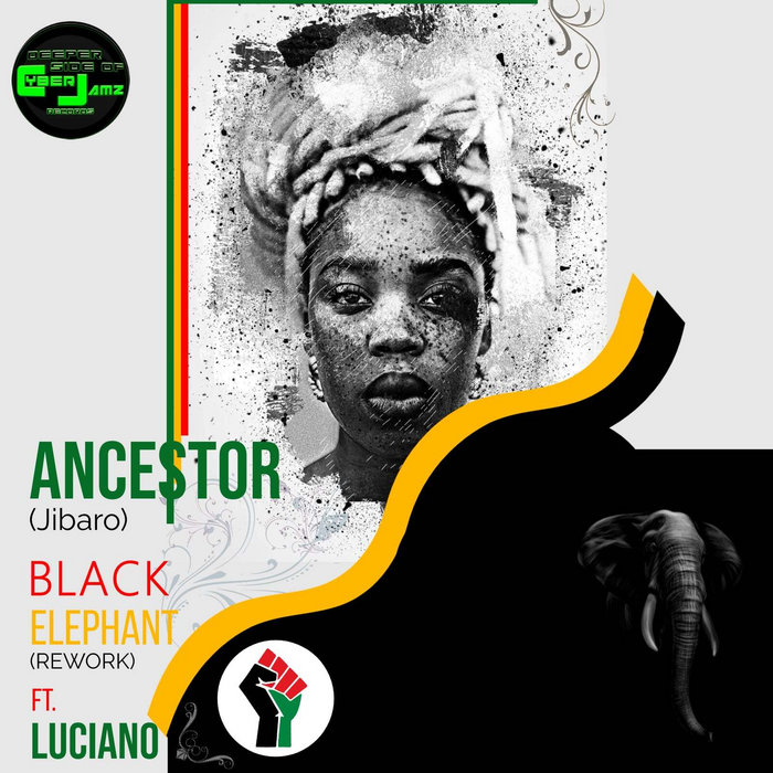 F.Luciano - Ancestor Jibaro (Ronald Overby aka Black Elephant Remix ...