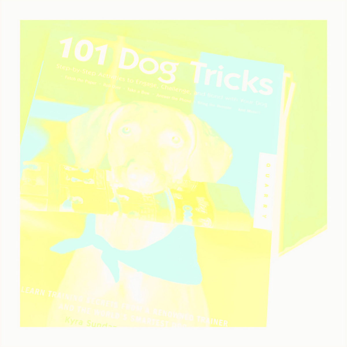 101 Dog Tricks | bipyuh