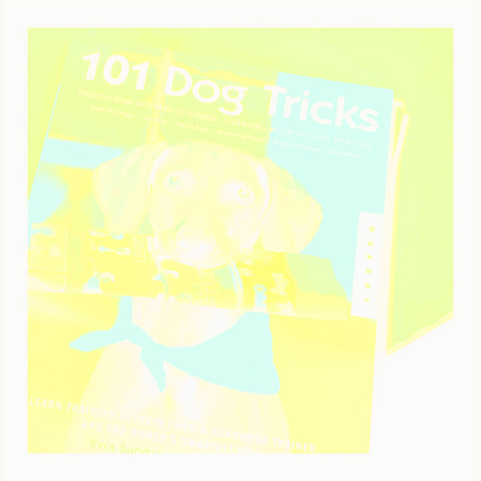 101 Dog Tricks | bipyuh