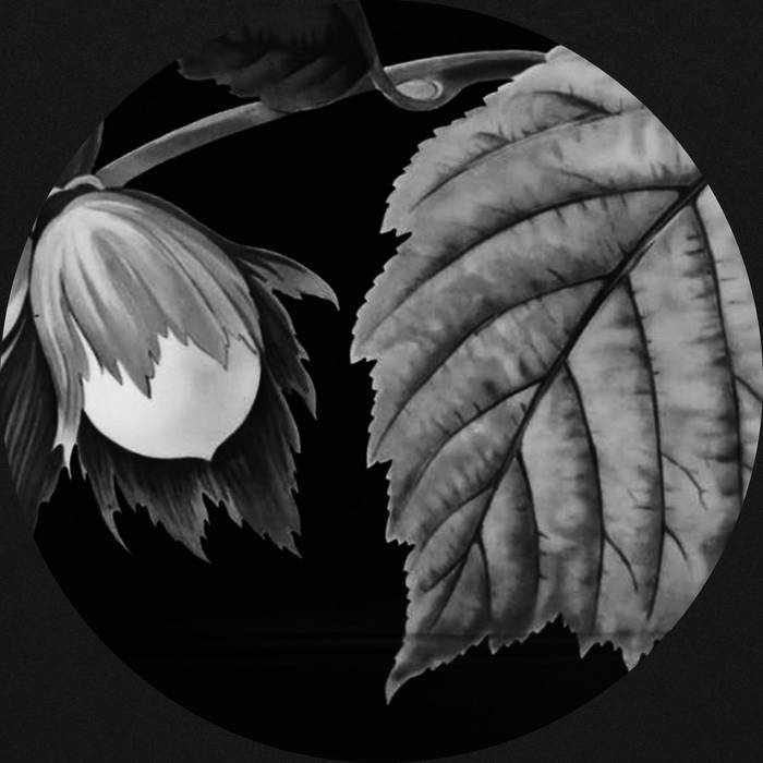 CNR021 | Carl Neuberg