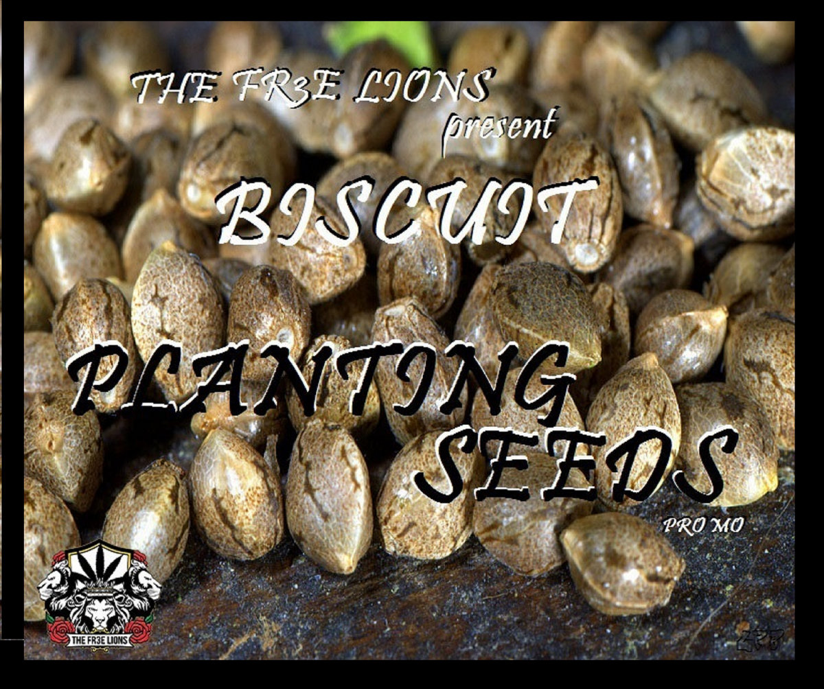 Planting Seeds | Biscuit | The FR3E Lions