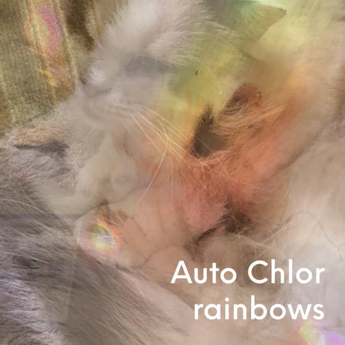 rainbows | Auto Chlor