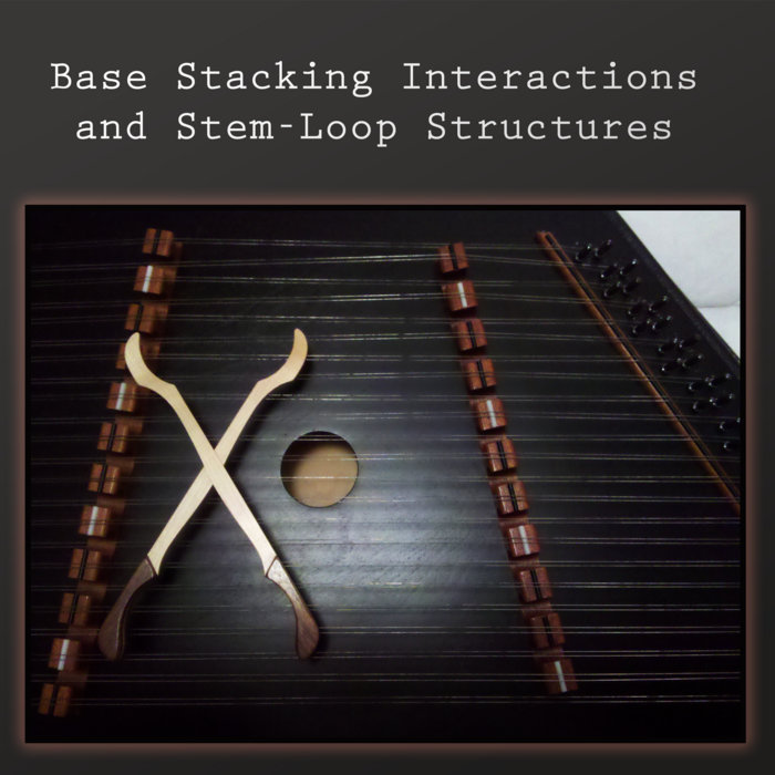 Base Stacking Interactions and Stem-Loop Structures | Brad Hebert ...