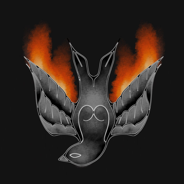 Bird on Fire | Noel Christine