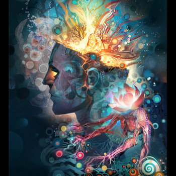 Music | The Human Experience