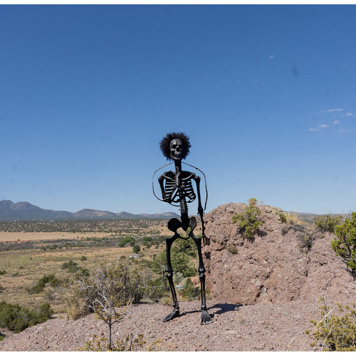 Remember Baby, I'm A Skeleton | The Black Skeleton, Vuur181 | Vuur