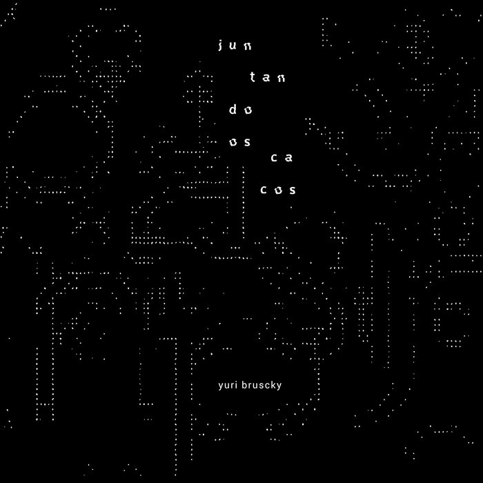 Juntando os Cacos | Yuri Bruscky