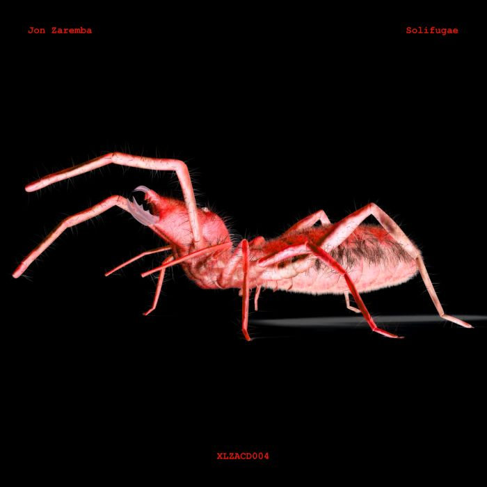 Solifugae | Jon Zaremba