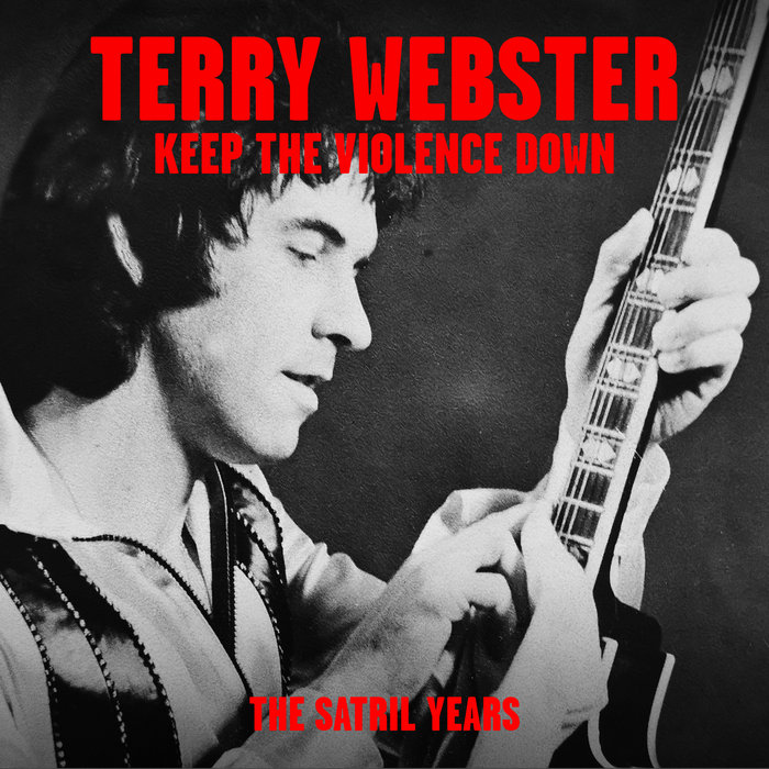 Keep The Violence Down - The Satril Years | Terry Webster