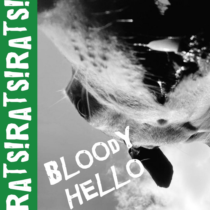 Bloody Hello | Rats! Rats! Rats! | Rare Vitamin Records
