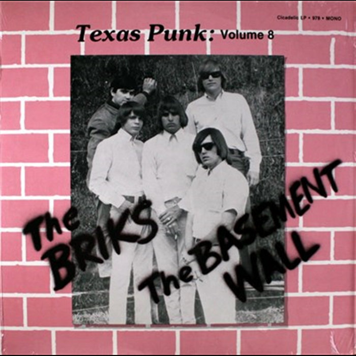 Texas Punk Volume 8 | The Briks