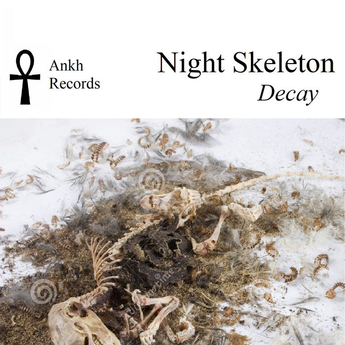 Decay | Night Skeleton