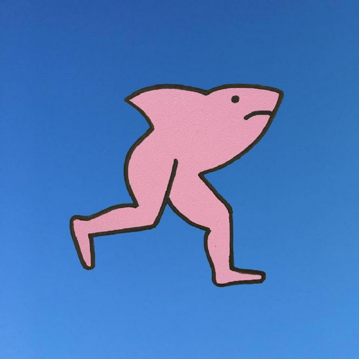 SHARK LEGS | SHARK LEGS | SHARKLEGS