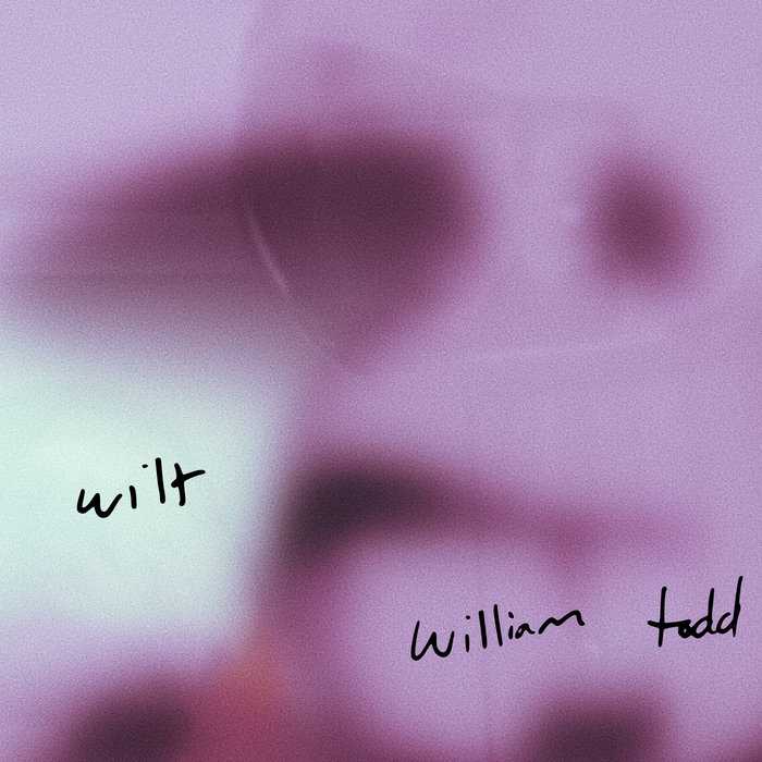 Wilt | William Todd