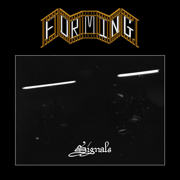 Signals | FORMING