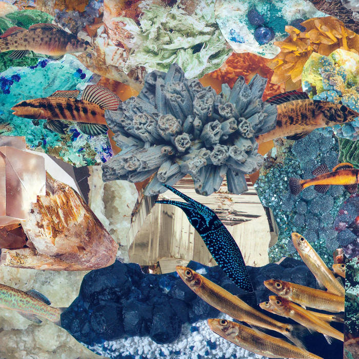 Yen Pox | Paa Annandalii | Celestial Paths Ltd.