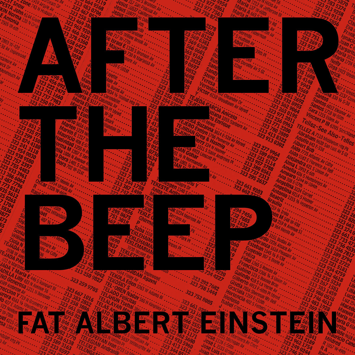 After The Beep | Fat Albert Einstein | Switchstance Recordings