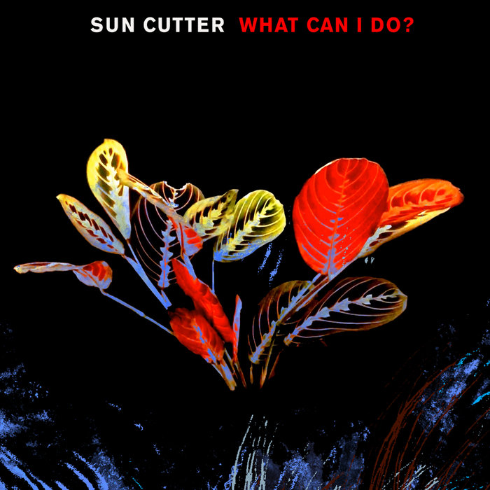 What Can I Do? | Sun Cutter