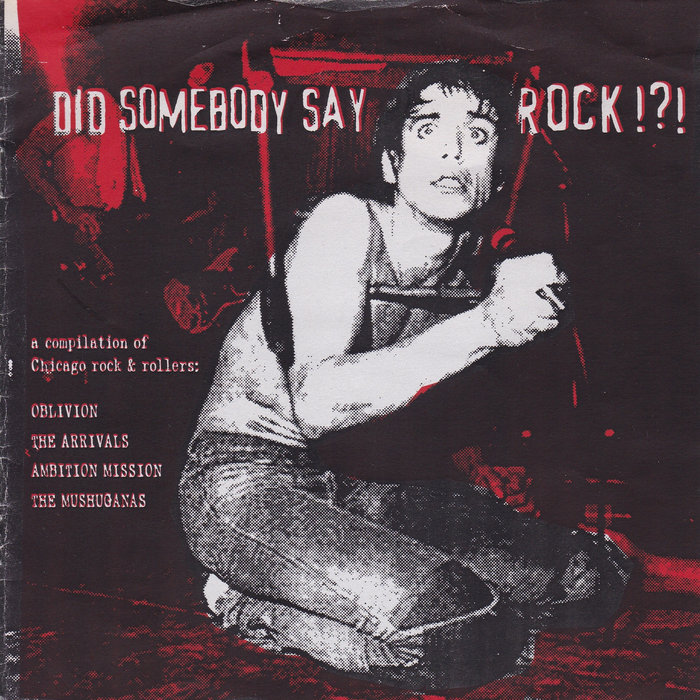 Did Somebody Say Rock!?! | Various Artists | DuPage County Hardcore