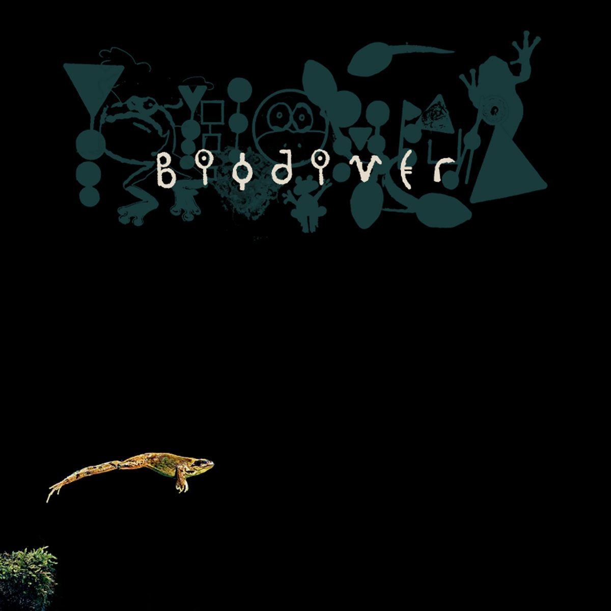 Biodiver | Phyllomedusa