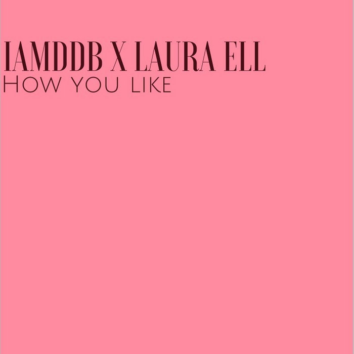 IAMDDB X LAURA ELL - HOW YOU LIKE (PITCHBEATS) | IAMDDB