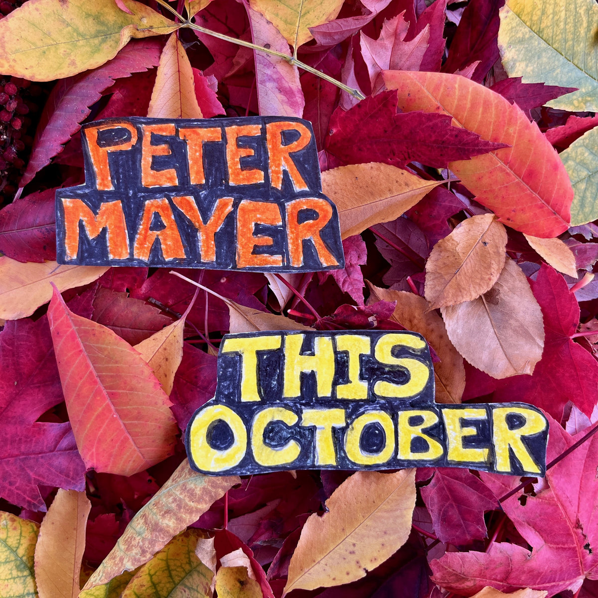 This October | Peter Mayer