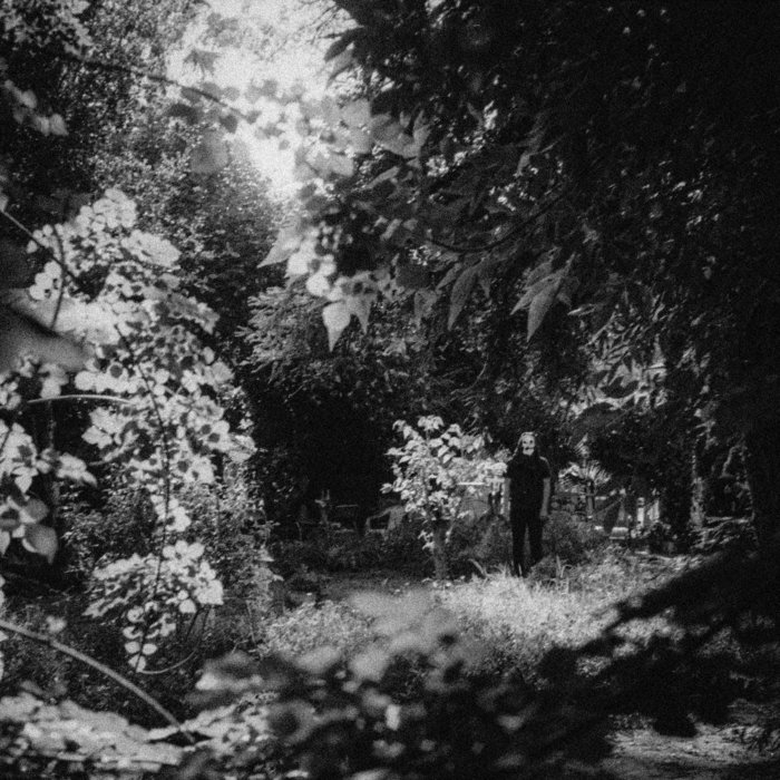 Where I Lay | Movements