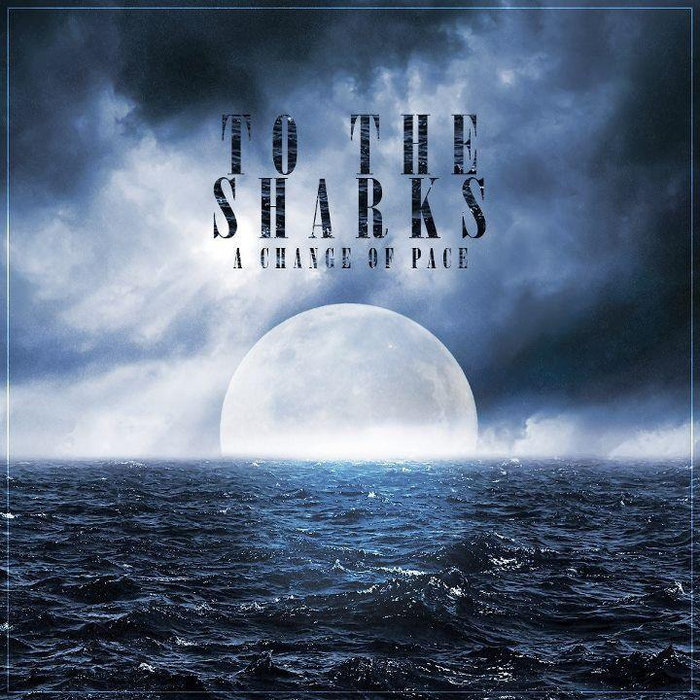 A Change Of Pace | To The Sharks