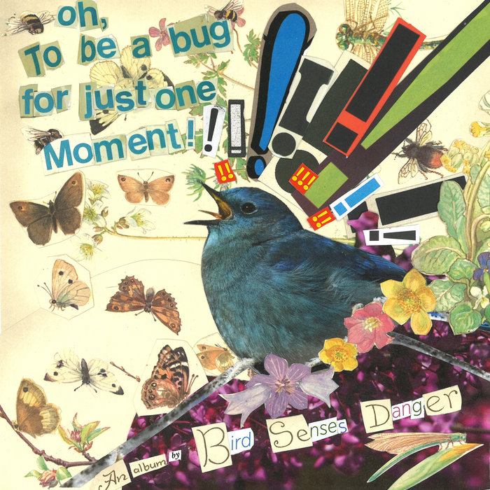 oh, to be a bug for just one moment | Bird Senses Danger