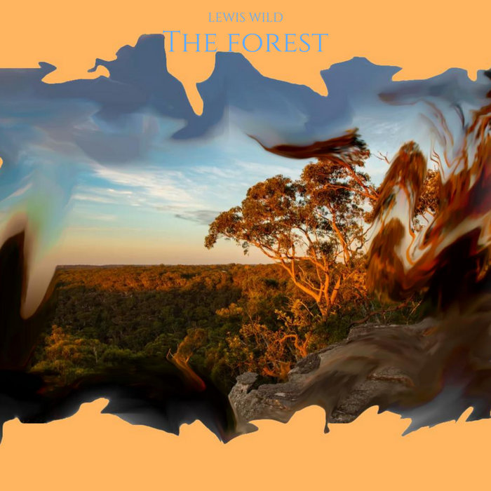 The Forest | Lewis Wild