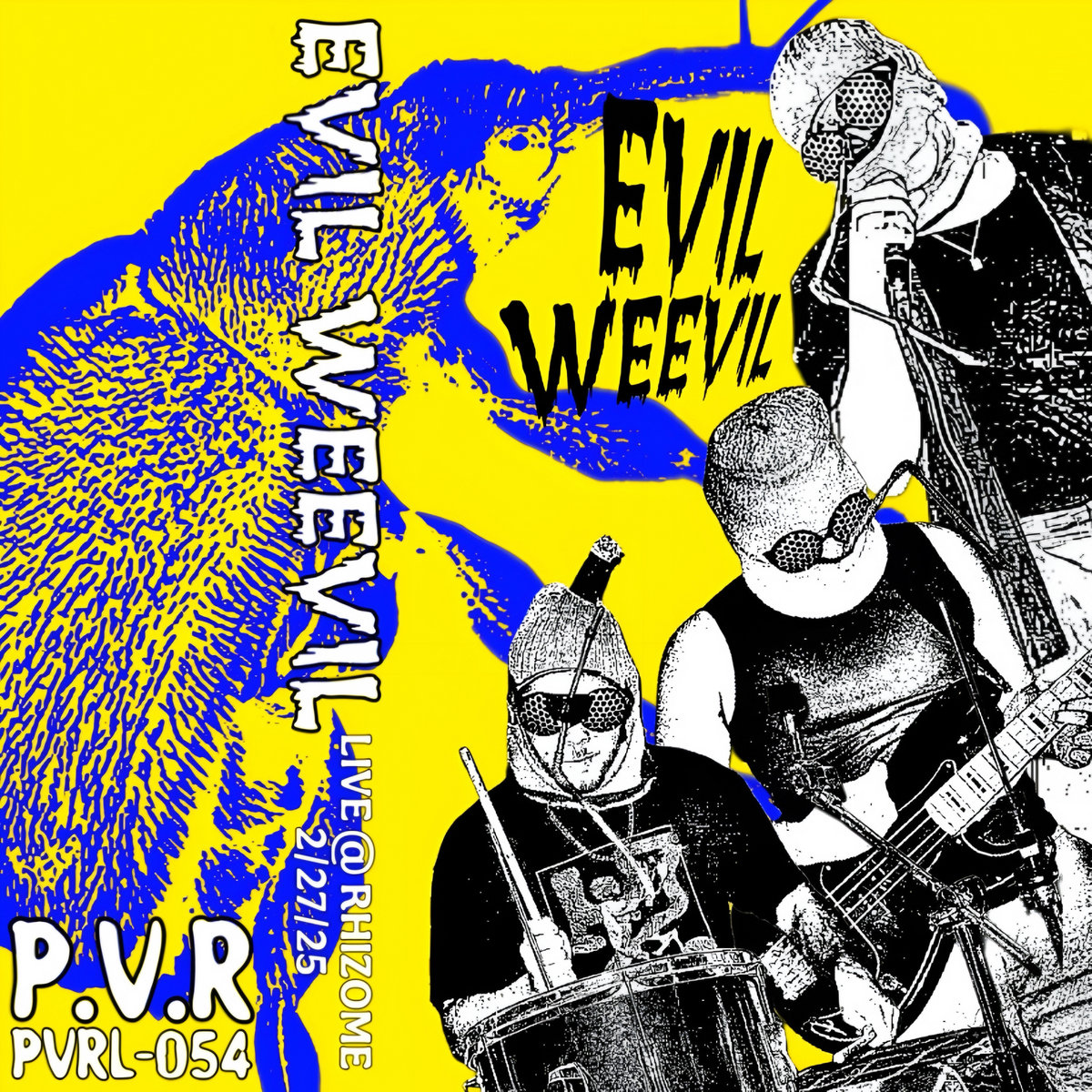 LIVE @ Rhizome 2/27/25 | Evil Weevil | Punk Valley Records