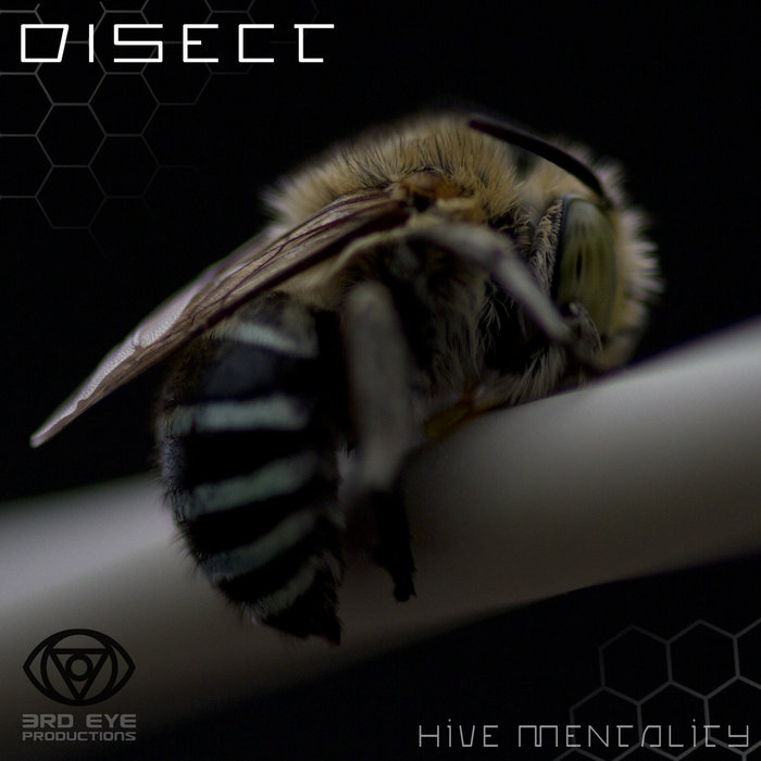 Hive Mentality | Disect | 3rd Eye Productions