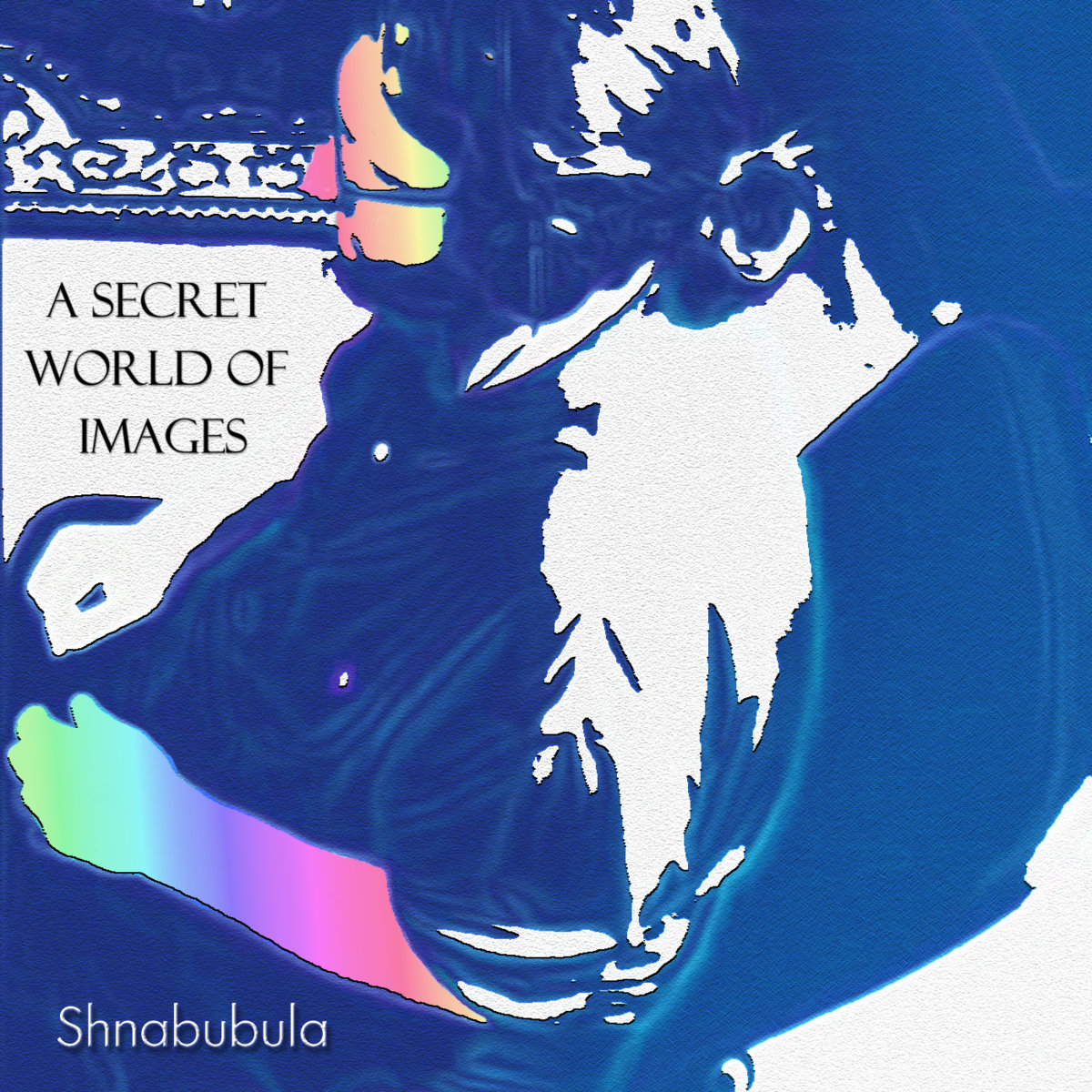 A Secret World of Images | Shnabubula
